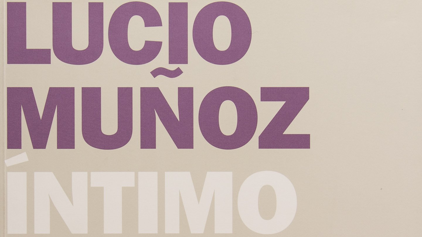 Lucio Muñoz Close Up | Fundación Juan March