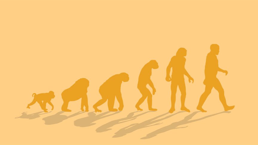 The Current Theory of Evolution | Fundación Juan March