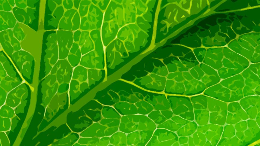 Plants under the Rule of Man (VI): Plant Genetic Engineering ...